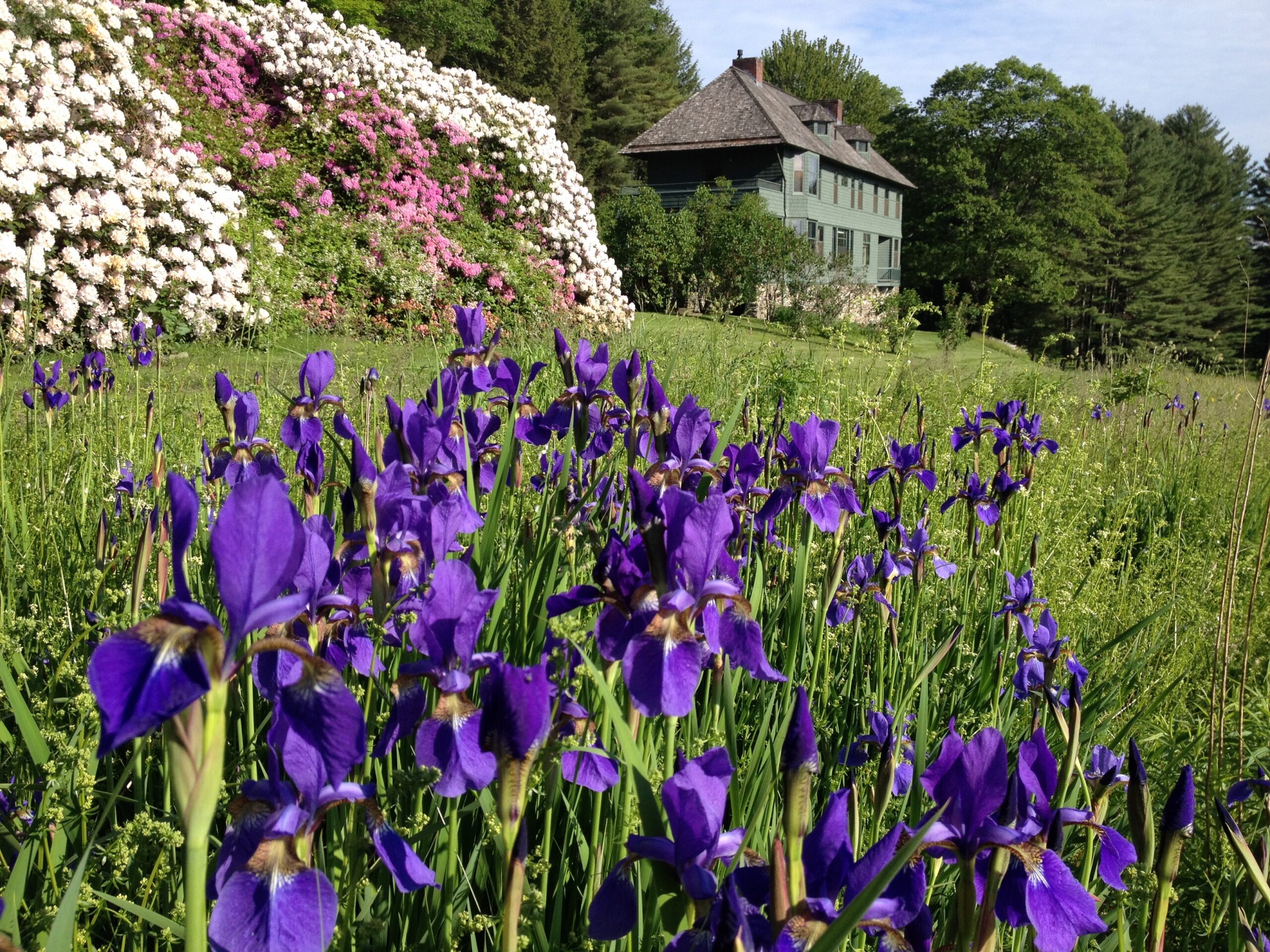 Public invited to Rudyard Kipling's Naulakha Estate and Rhododendron ...